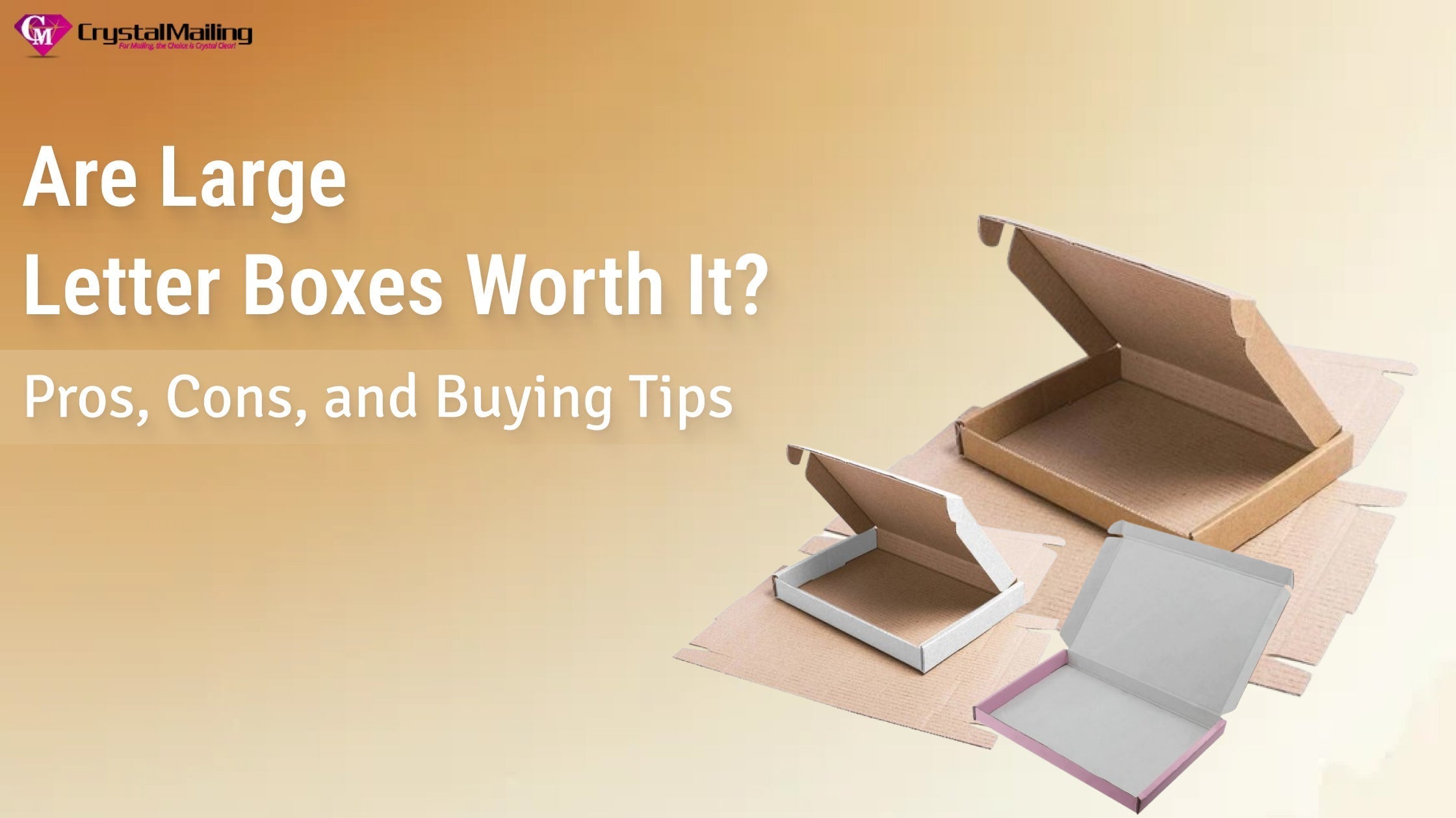 Large Letter Boxes: Benefits, Pros & Cons, and Buying Tips – Crystal ...